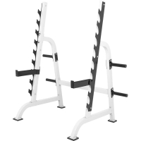 Gorilla Sports Romania